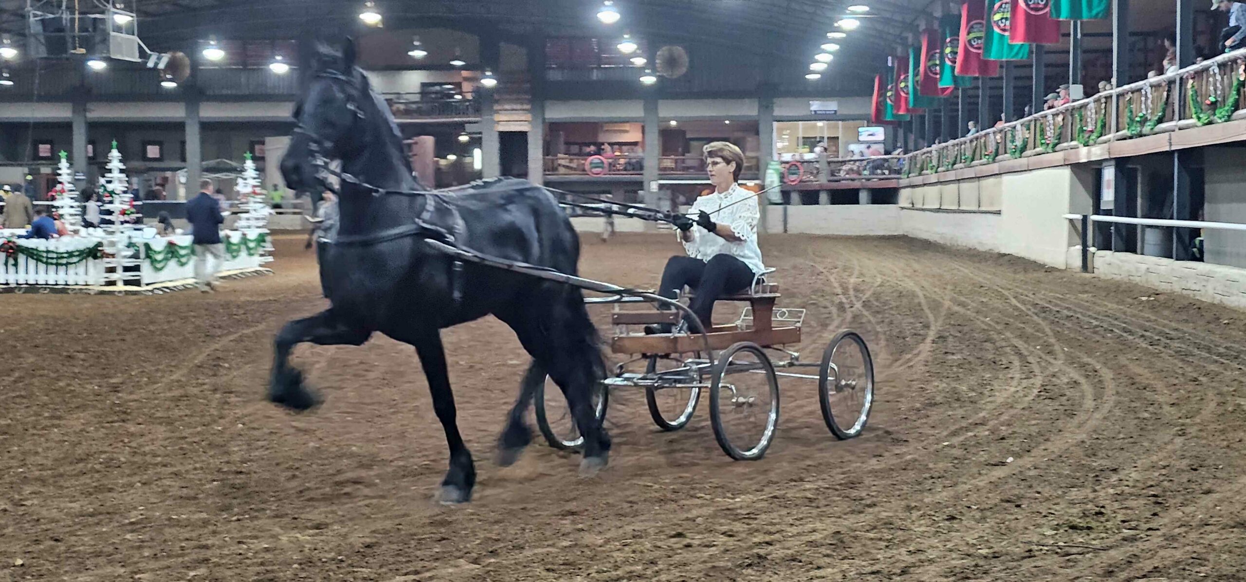 Moenie die aksie by vandag se Saalperd-kampioenskappe mis nie | Parys ...