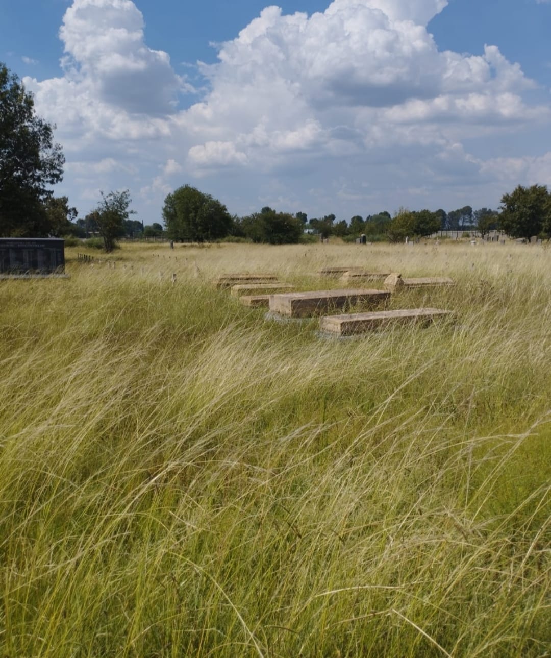 Stil-stil word in dié begraafplaas gewerk | Parys Gazette