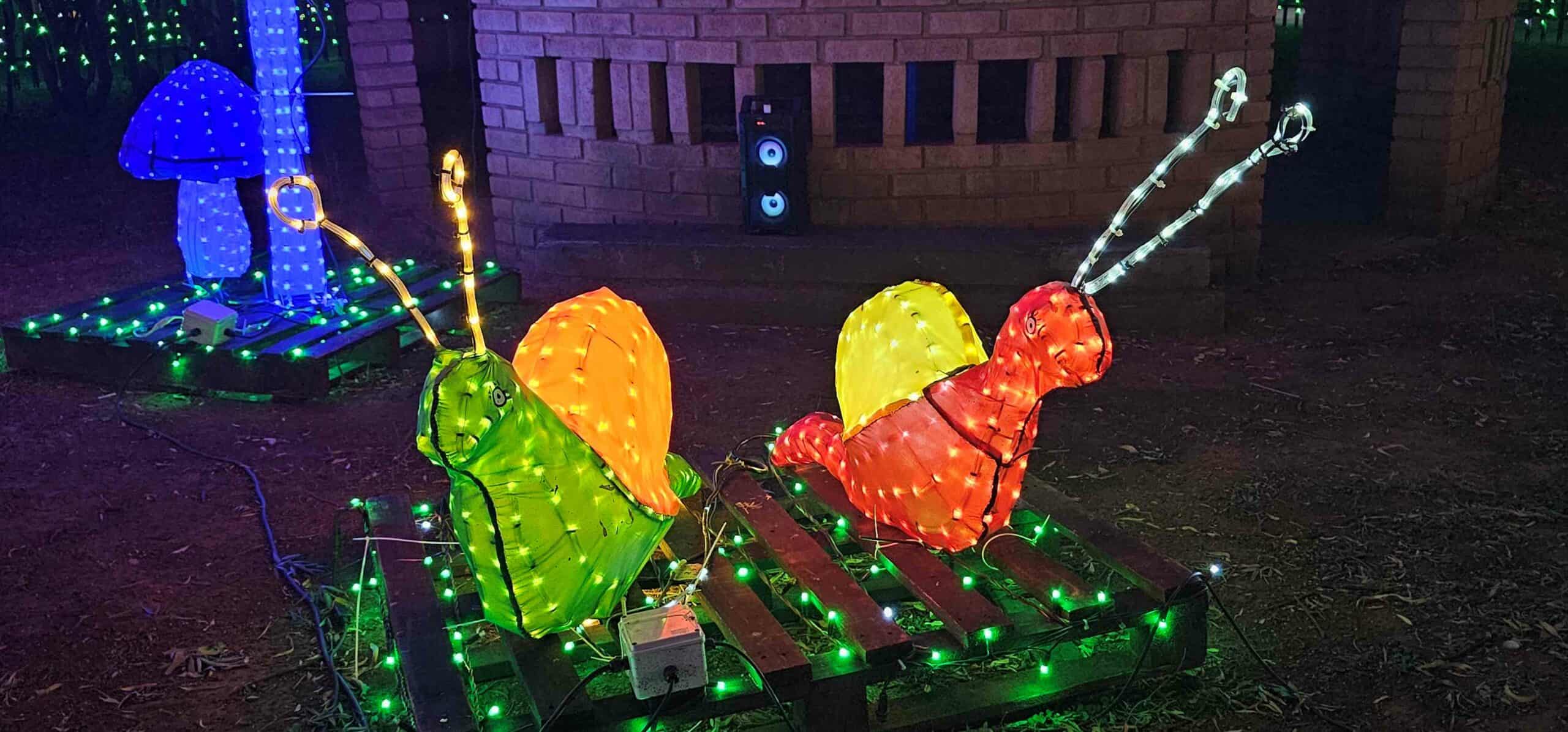 Liggie wonderwêreld bekoor | Parys Gazette