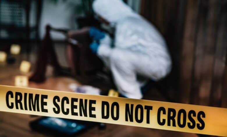 Ontbinde liggame van vrou en kind ontdek | Parys Gazette