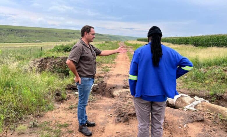 Boere moet self Vrystaatse paaie herstel | Parys Gazette