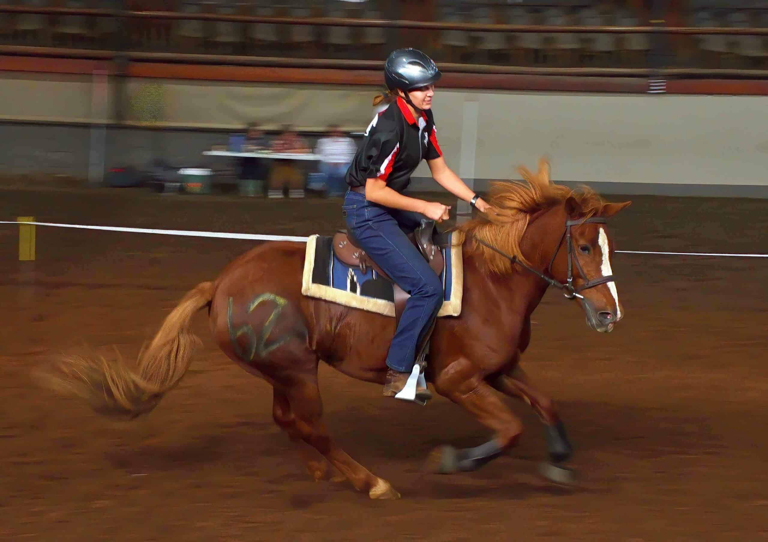 Nie eens die eendeweer stuit ruiters by provinsiale uitdun | Parys Gazette