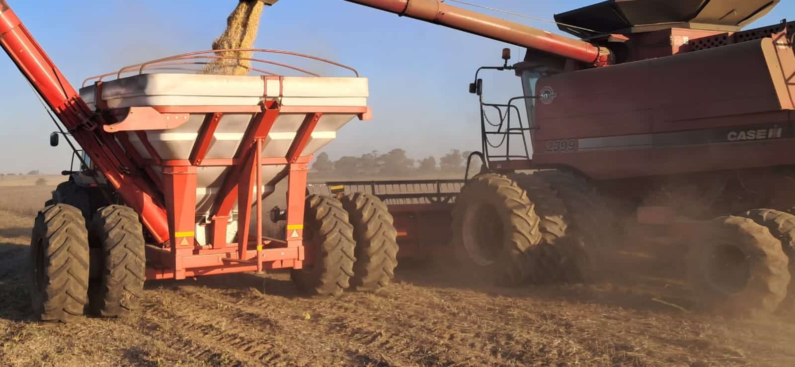 Nat lande laat boere slim planne maak | Parys Gazette