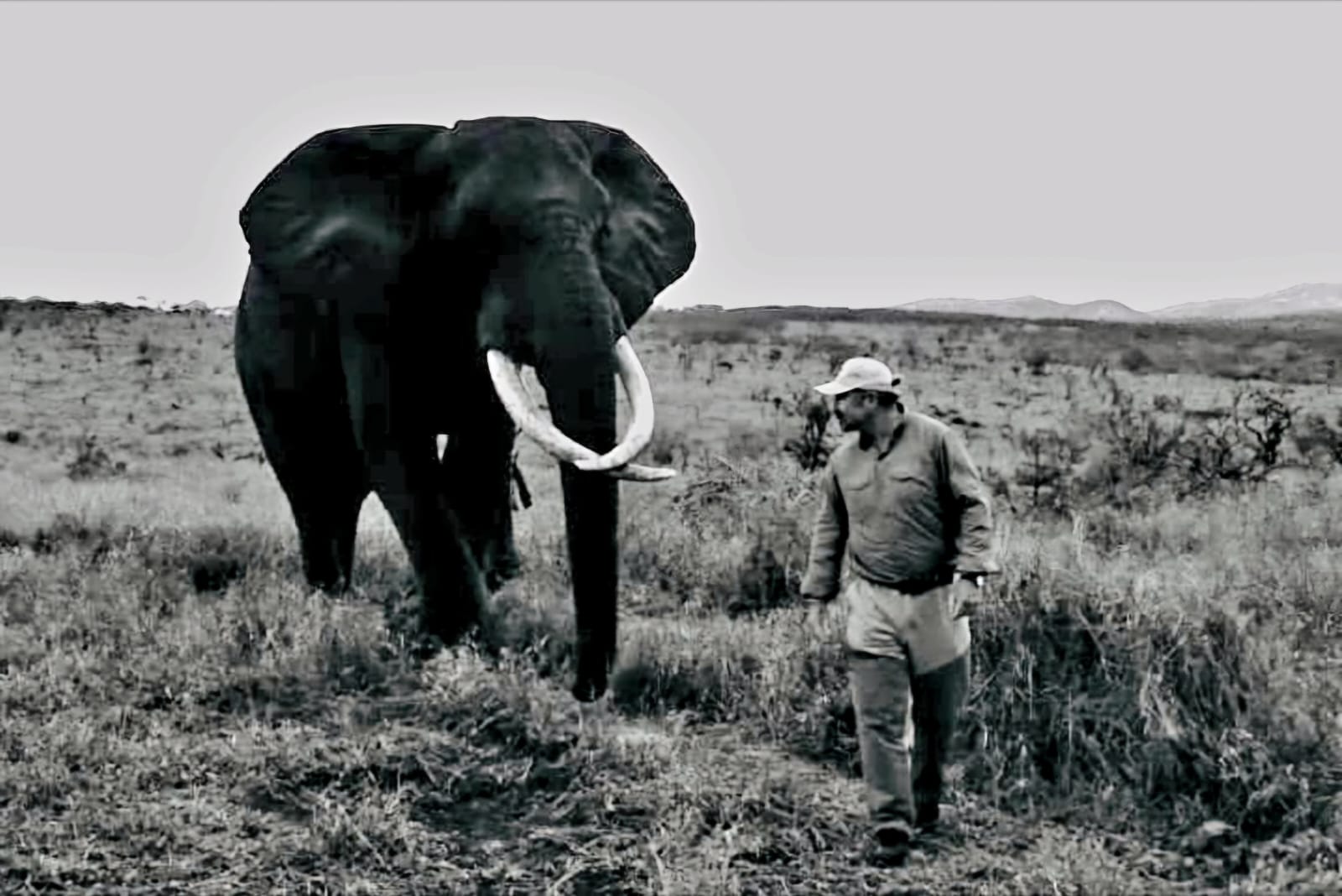 Die natuur leer jou - as jy bereid is om te luister | Parys Gazette