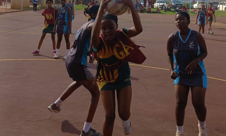President Pretorius and Potch Primary battle it out on the netball ...
