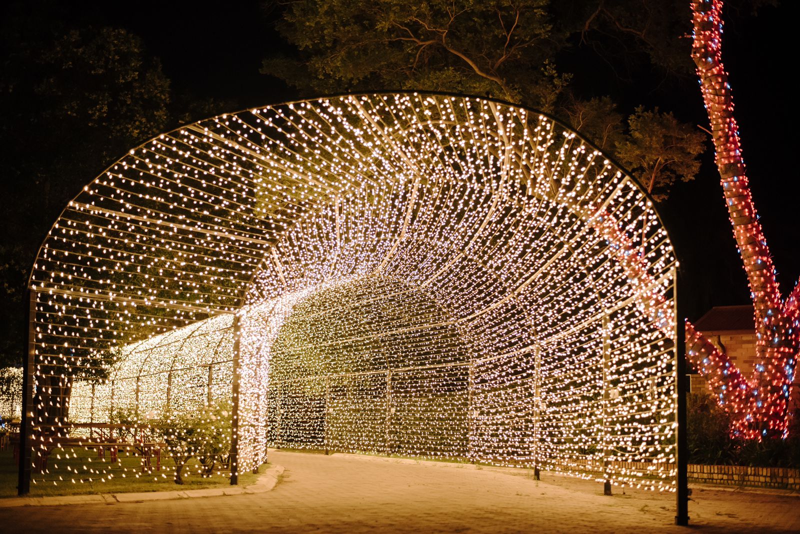 Abraham Kriel-kinderhuis se hande afgekap na staatsubsidie sloer ...
