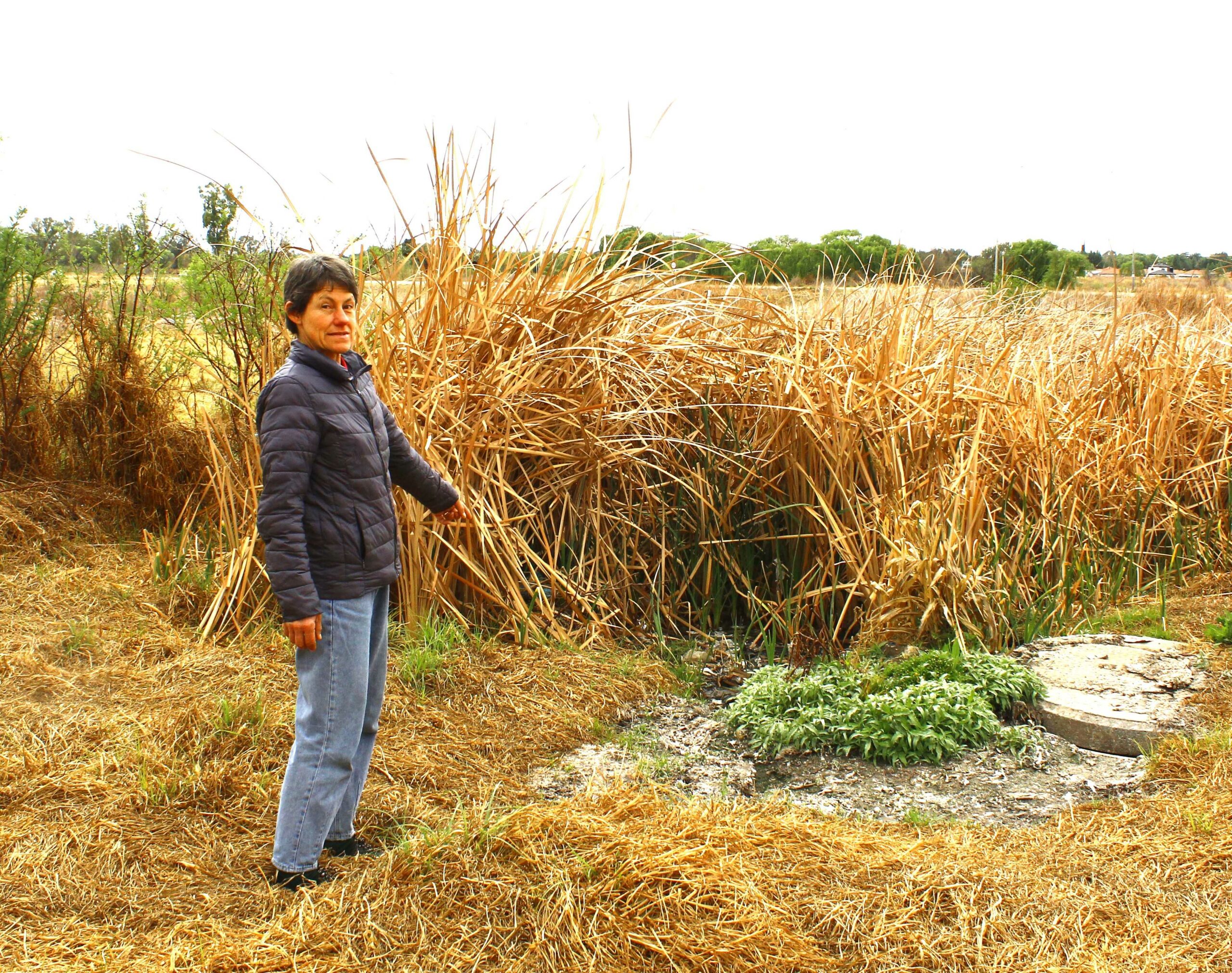 Chris Hani Pompstasie-hoofpyn vererger | Potchefstroom Herald