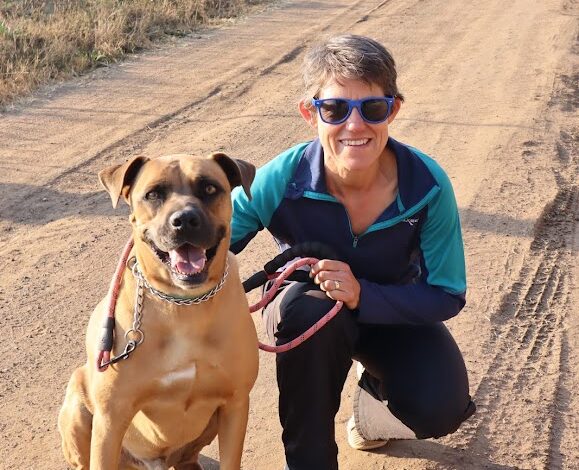 Waar spandeer jou diere Kersfees? | Potchefstroom Herald