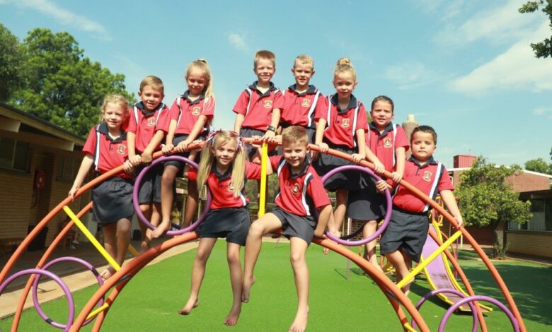 Vat vyf Baillies se nuwe tweelinge! | Potchefstroom Herald