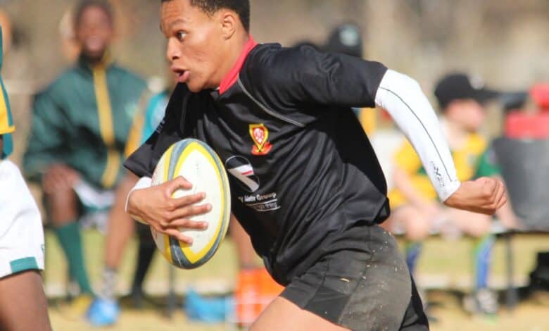 Wollies soek Noordvaal sukses | Potchefstroom Herald