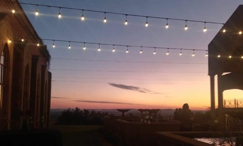 NWU Business school MBA & PHD Graduation celebration | Potchefstroom Herald