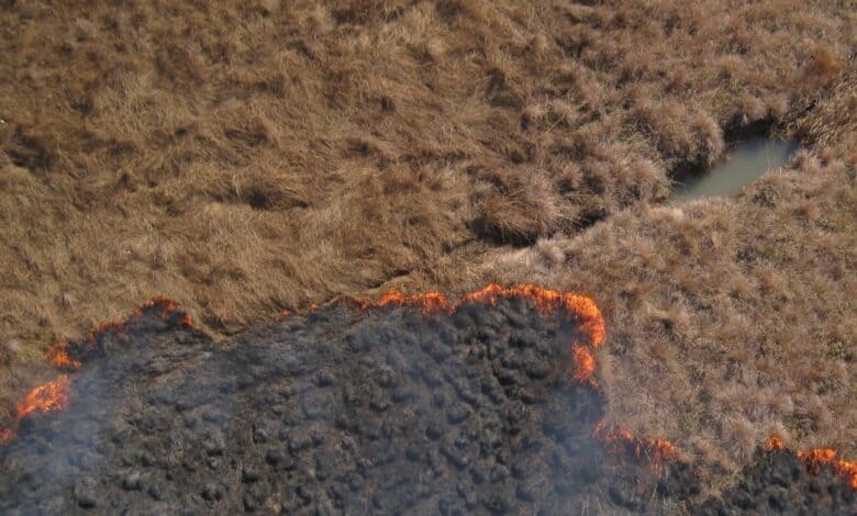 Veld fire on N14 | Potchefstroom Herald