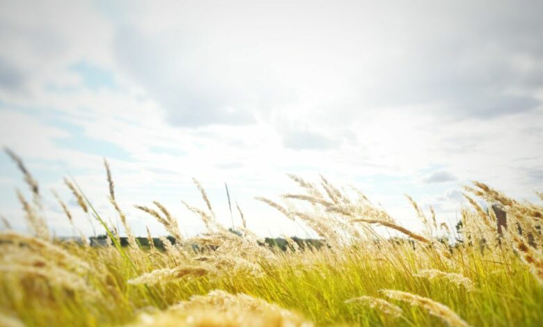 Winderige, bewolkte weer vir Potchefstroom | Potchefstroom Herald