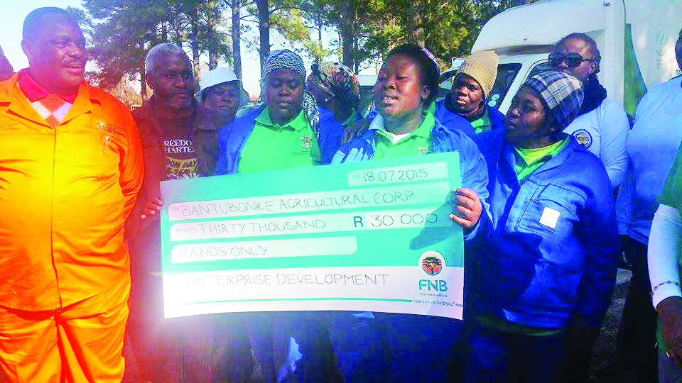 Enlightening through Agriculture | Sedibeng Ster