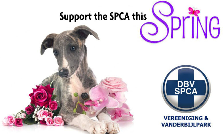Please support Vereeniging/Vanderbijl SPCA Spring Day | Sedibeng Ster