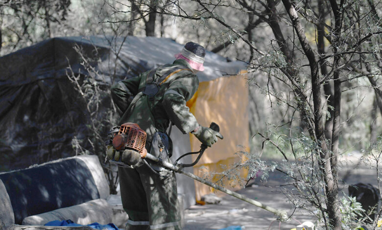 Vegetation clearing reveals hidden squatter enclave in affluent suburb ...