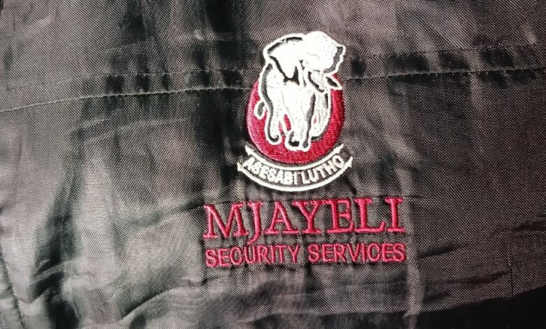 Man runs in front of a moving truck | Sedibeng Ster