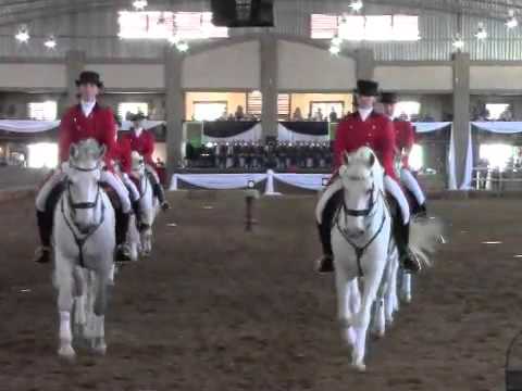 The South African Lipizzaners (NPC) Show at Afridome | Vaalweekblad
