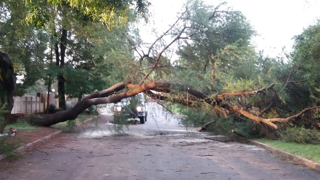 Groot boom val om in Meyerton | Vaalweekblad