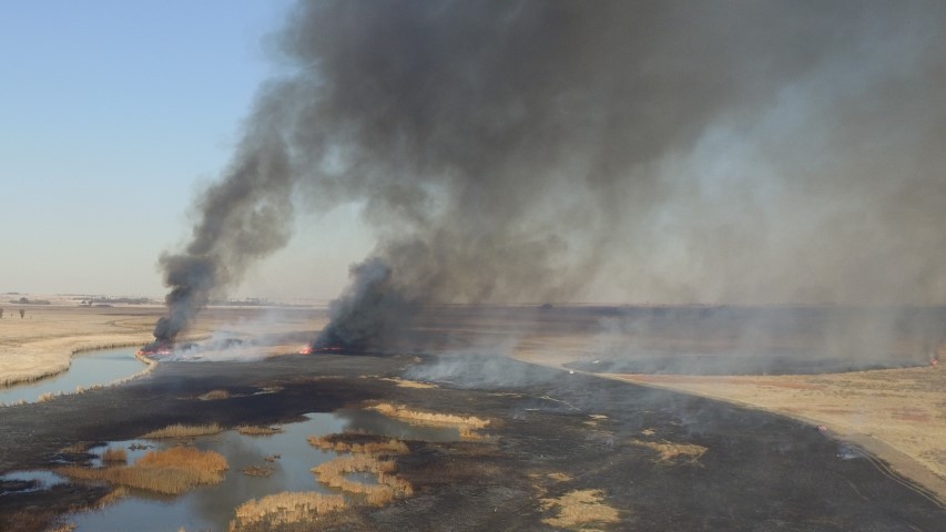 Duisende voëls sonder blyplek vanaand | Vaalweekblad