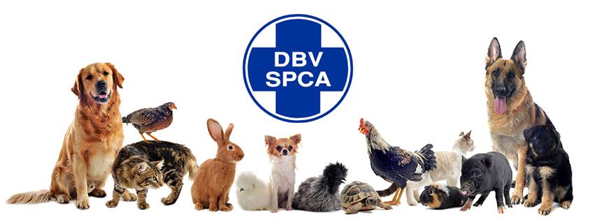Volunteers, come wrap gifts in aid of SPCA | Vaalweekblad