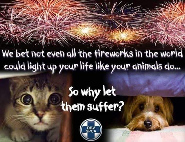The fear and fury of fireworks! | Vaalweekblad