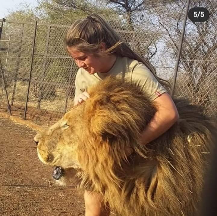 Doodgebyt deur leeus waarvoor sy so lief was | Vaalweekblad