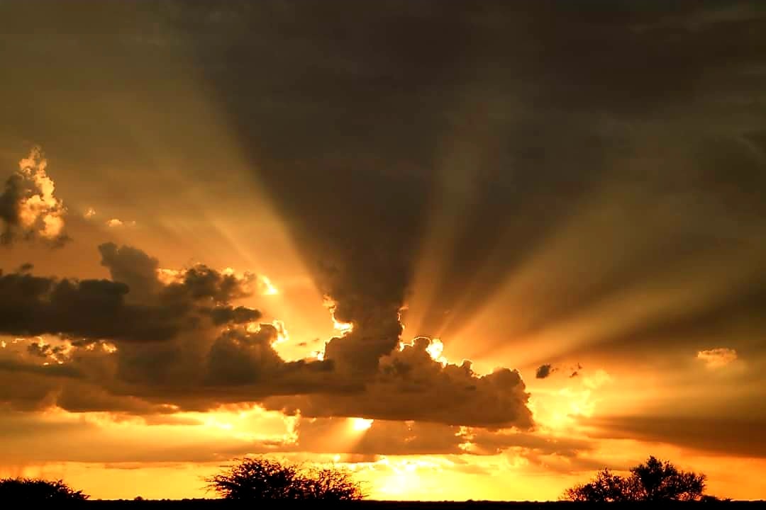 Lockdown-fotograwe beïndruk weer eens | Vaalweekblad