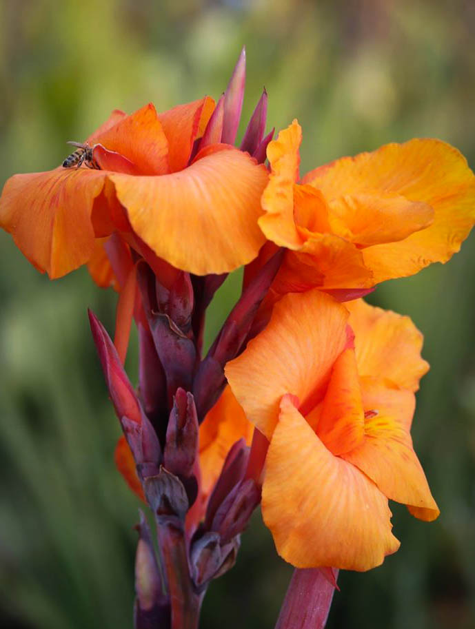 Mooi foto's bring kleur in ons lewens | Vaalweekblad