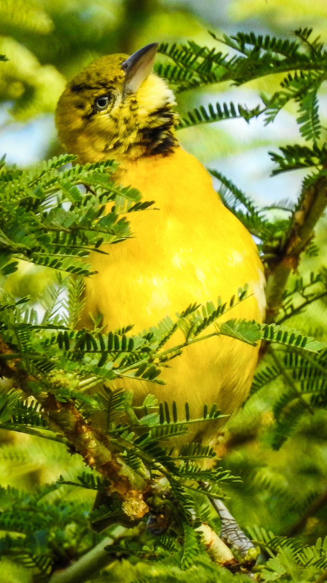 Tyd om foto's te deel en te neem | Vaalweekblad