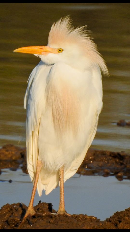 Fotograwe sal jou op reis neem, sonder dat jy koud hoef te kry ...