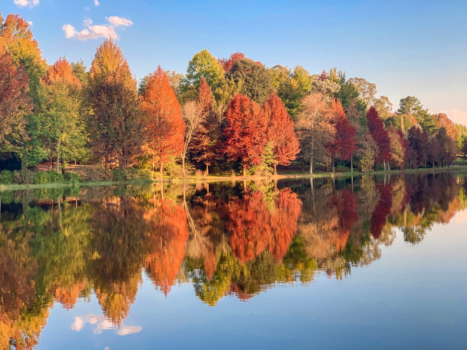 Groot versameling foto's van regoor land | Vaalweekblad