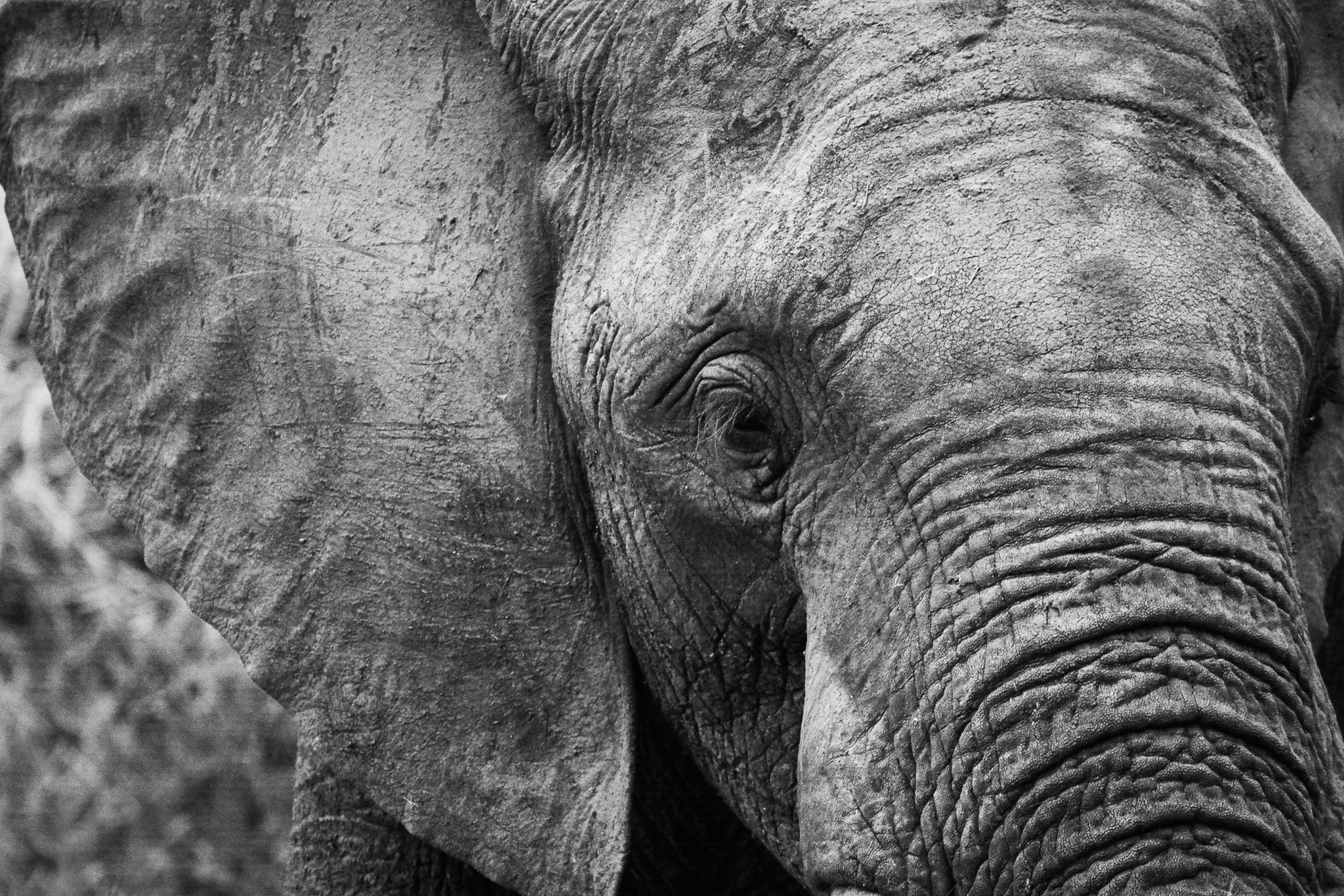 Besonder kunstige foto-versameling | Vaalweekblad