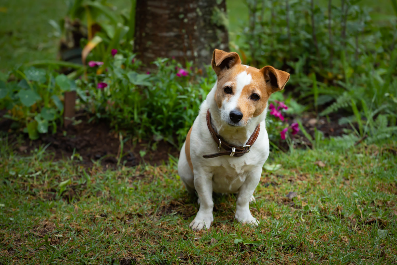 'n Lekker vrolike foto-versameling | Vaalweekblad