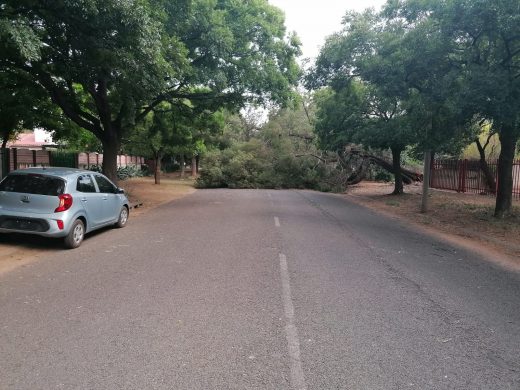 Fotobeeld: Sterk wind in Vanderbijlpark rig skade aan | Vaalweekblad
