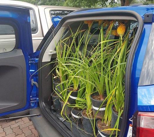 Missie Rooi Vuurpyl 2017 | Vaalweekblad