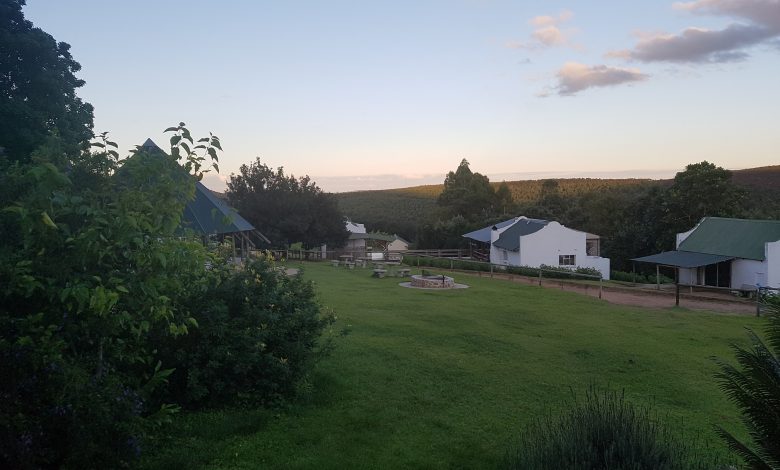 Wen 'n wegbreek op die Africa Silks Plaas | Vaalweekblad