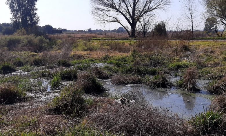 Groen Skerpioene besoek Emfuleni na klag van VF Plus | Vaalweekblad