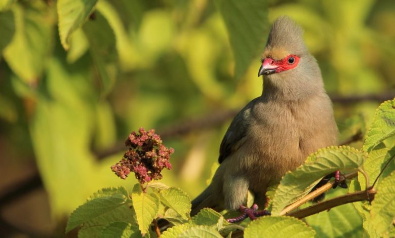 Wye verskeidenheid prag-foto's | Vaalweekblad