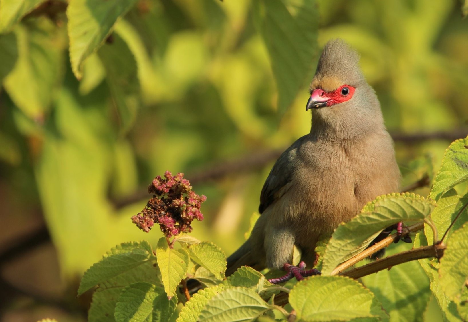 Wye verskeidenheid prag-foto's | Vaalweekblad