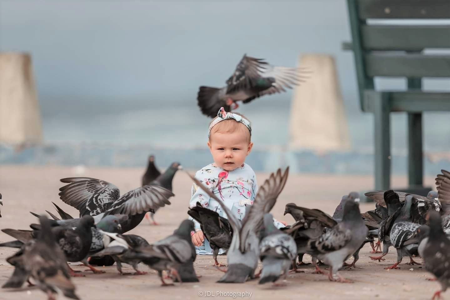 Mooi én 'cute' foto's | Vaalweekblad