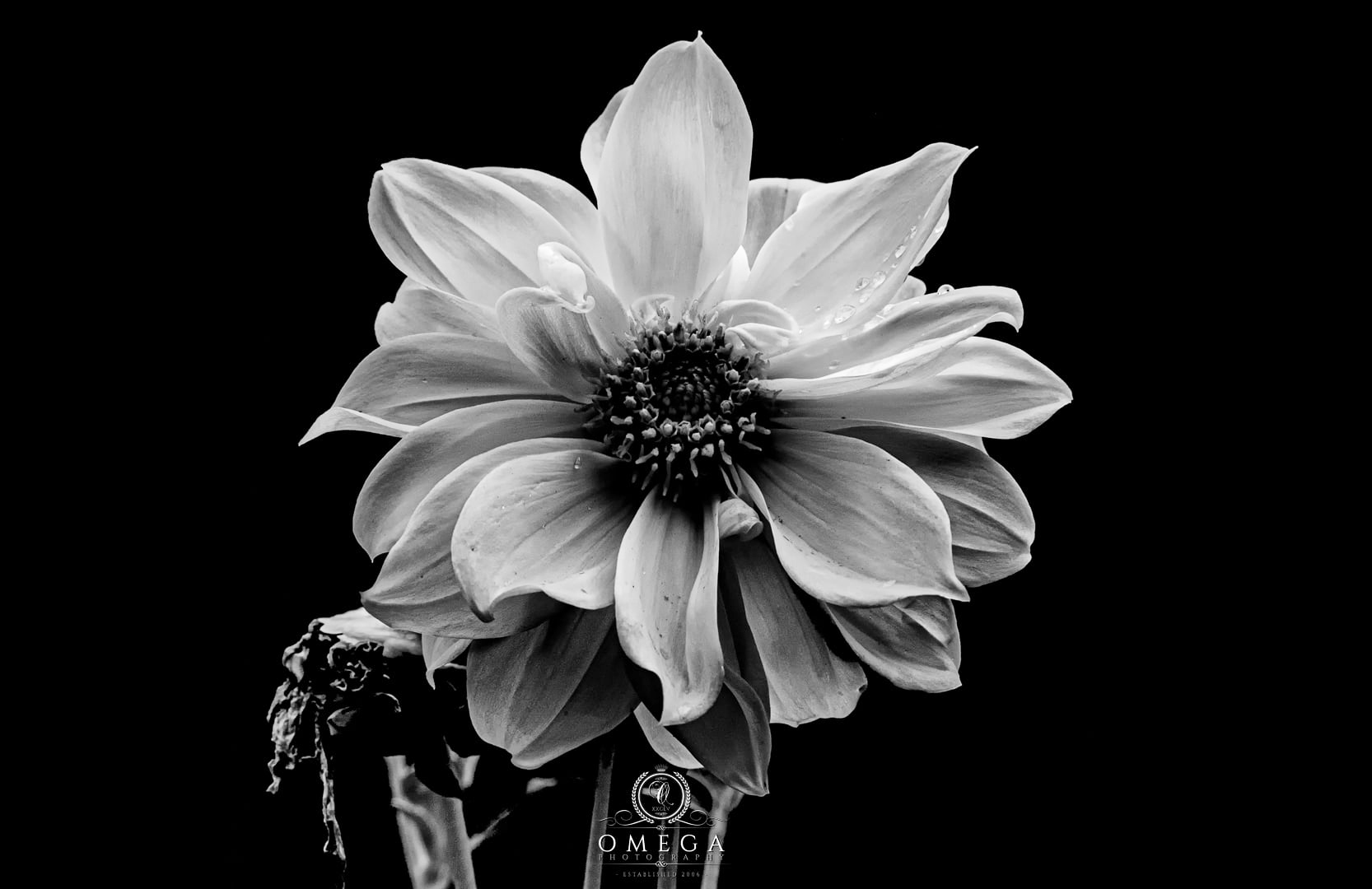 Treffende foto's in mono en kleur | Vaalweekblad