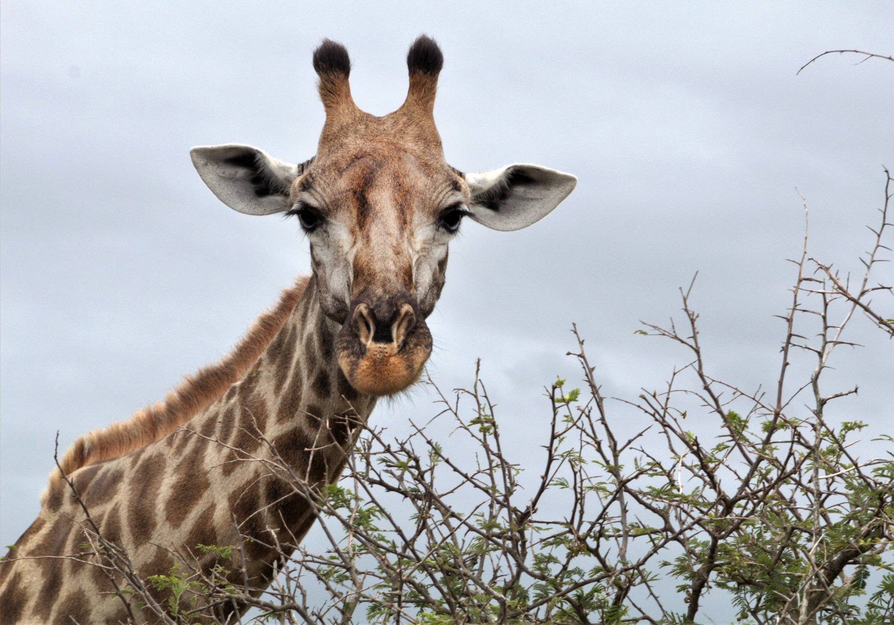 Ek sien mooi foto's ... én Maandag! | Vaalweekblad