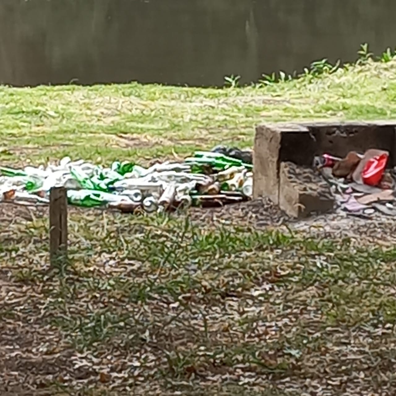 Park van rommel en afgesaagde bome | Vaalweekblad