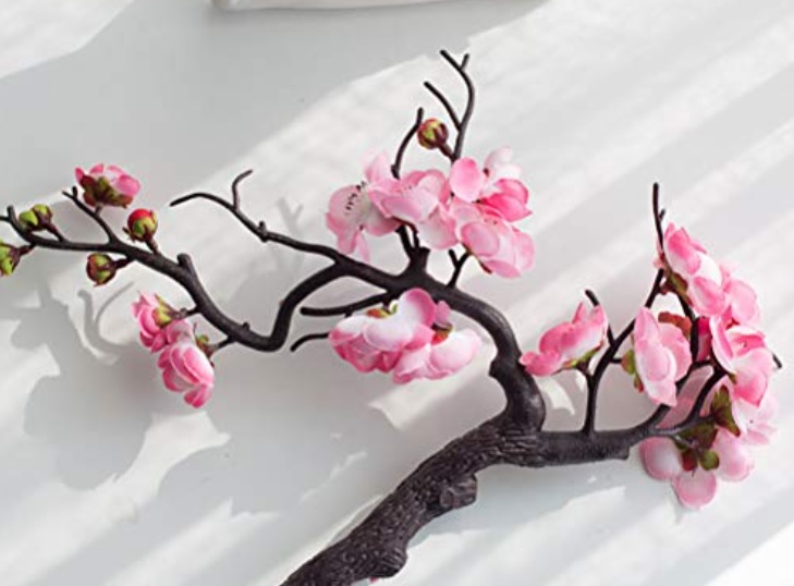 ‘n Bloeisel wat nooit sal verlep nie | Vaalweekblad