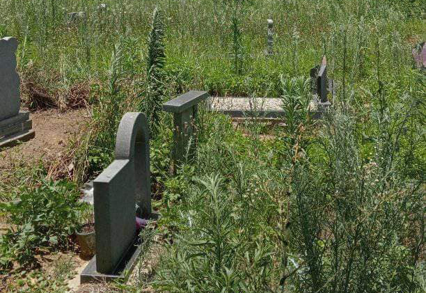 Sasolburg-begraafplaas in haglike toestand | Vaalweekblad