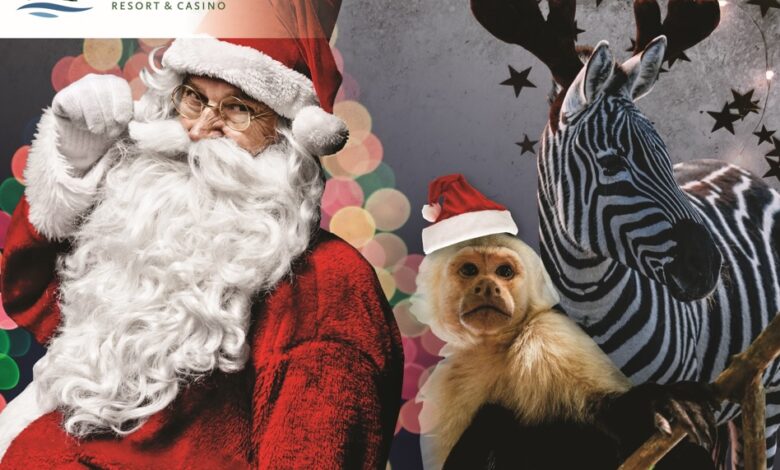 Emerald Resort & Casino: Your entertainment hub this festive season ...