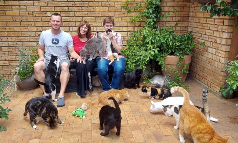 ‘n Tweedekans katte-paradys | Vaalweekblad