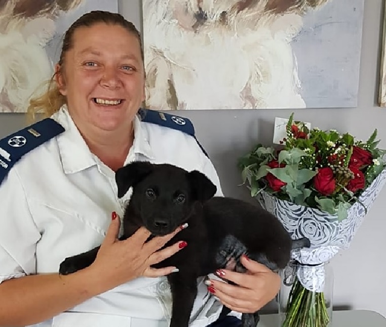 Wys jou liefde vir jou vierpootvriend op Valentynsdag! | Vaalweekblad