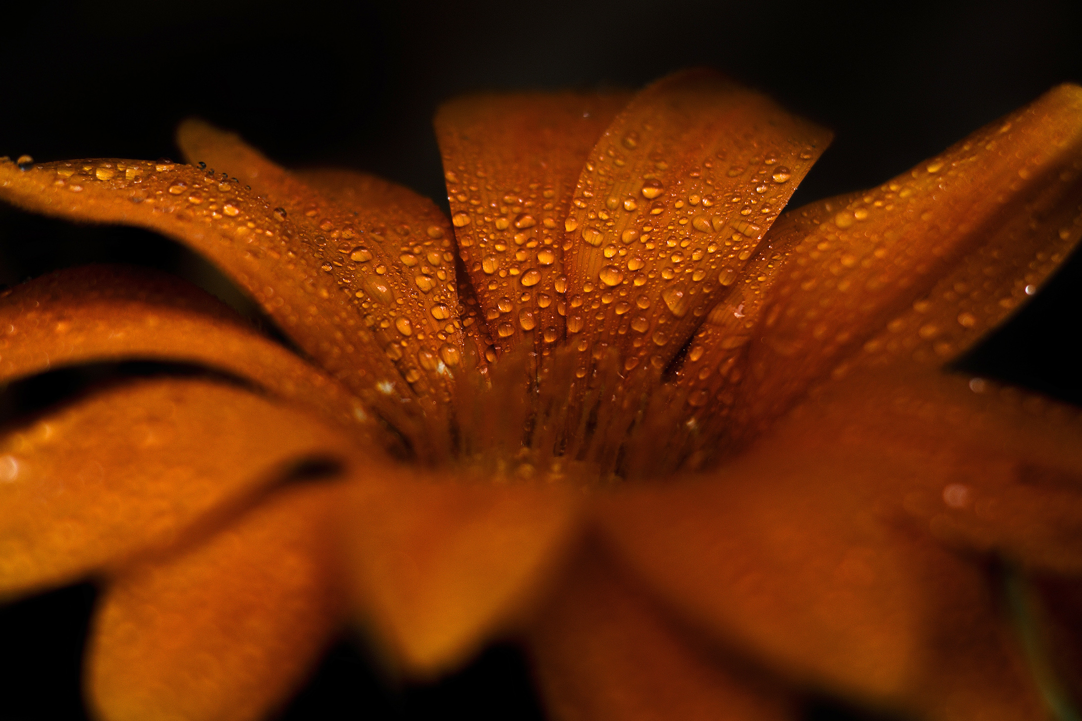 10 uit 10 vir dié foto-versameling | Vaalweekblad